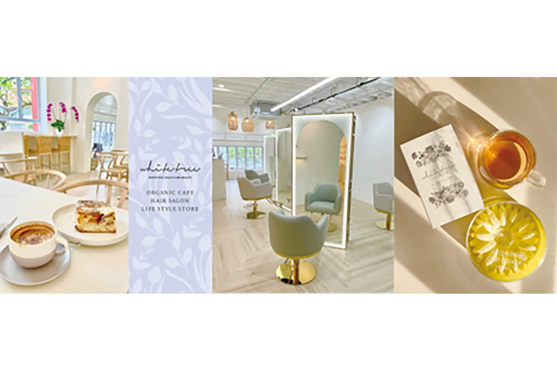 WHITETREE Magazine Volume 1 - WHITETREE hairsalon